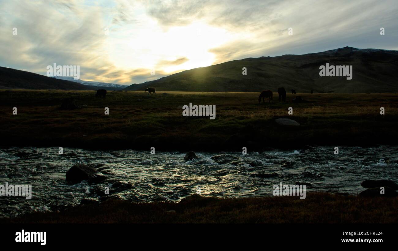 Beautiful scenery of Mongolian wild nature and landscape Stock Photo ...