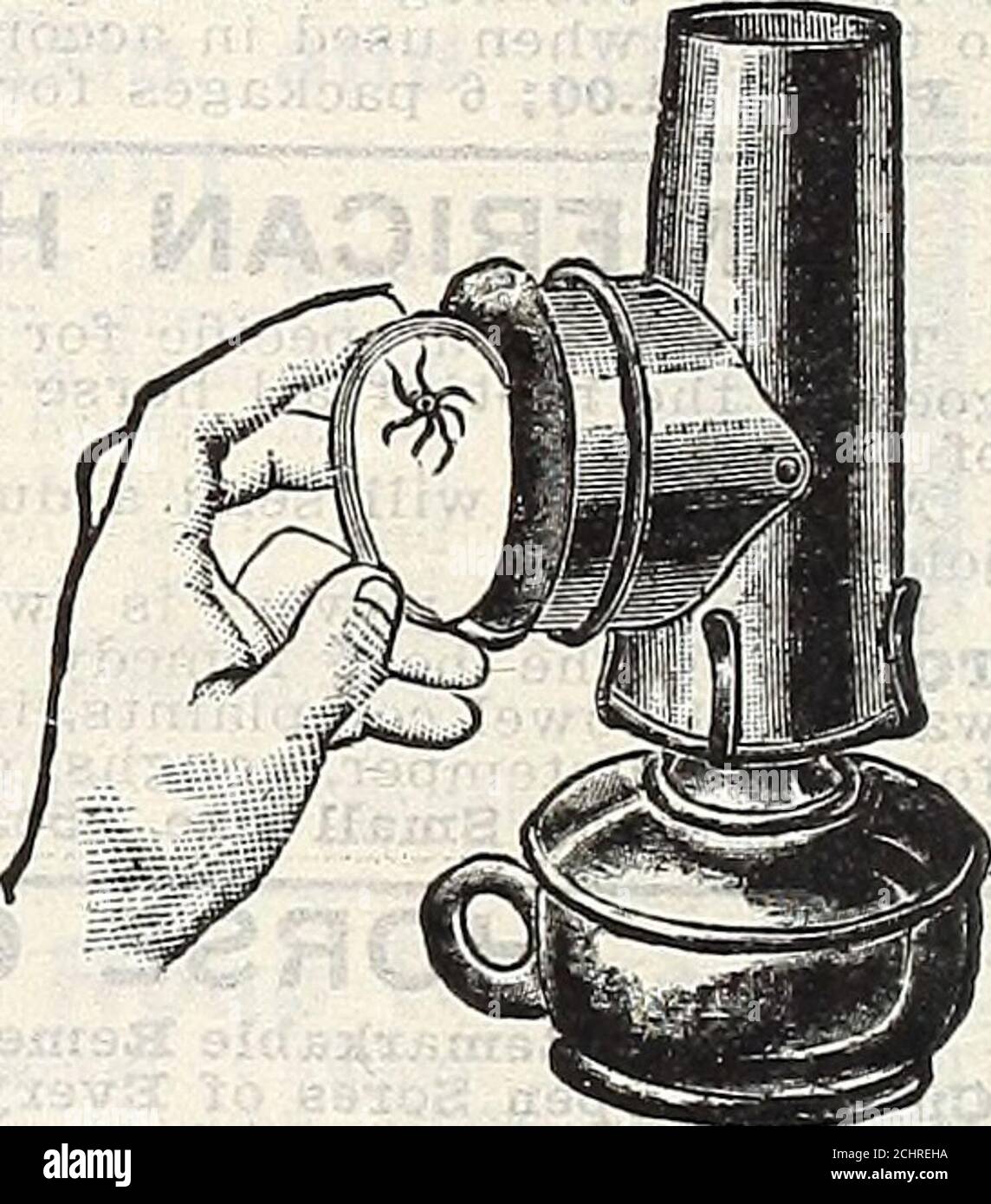 Hatching Tray High Resolution Stock Photography and Images - Alamy