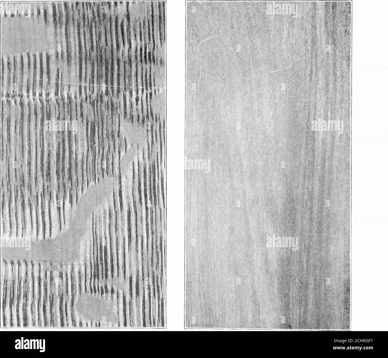 M m u b s Black and White Stock Photos & Images - Alamy