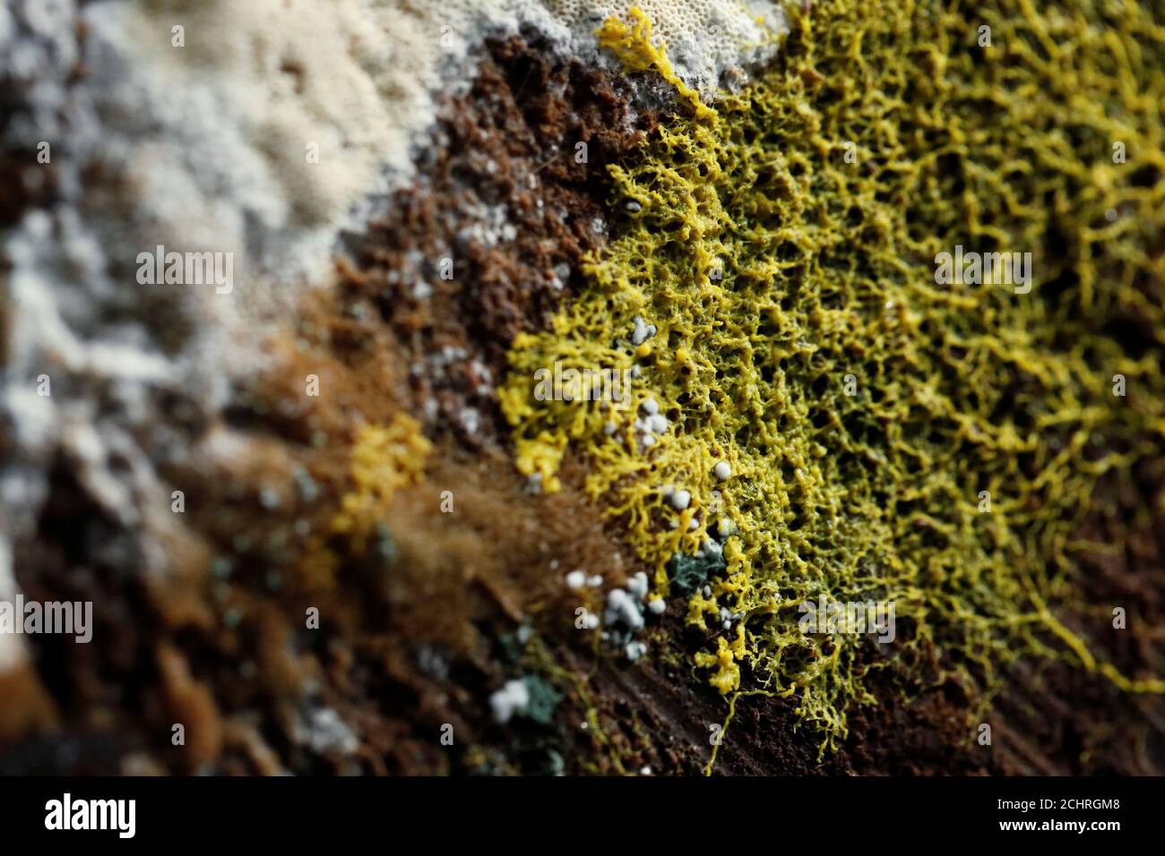 Blob slime hi-res stock photography and images - Alamy