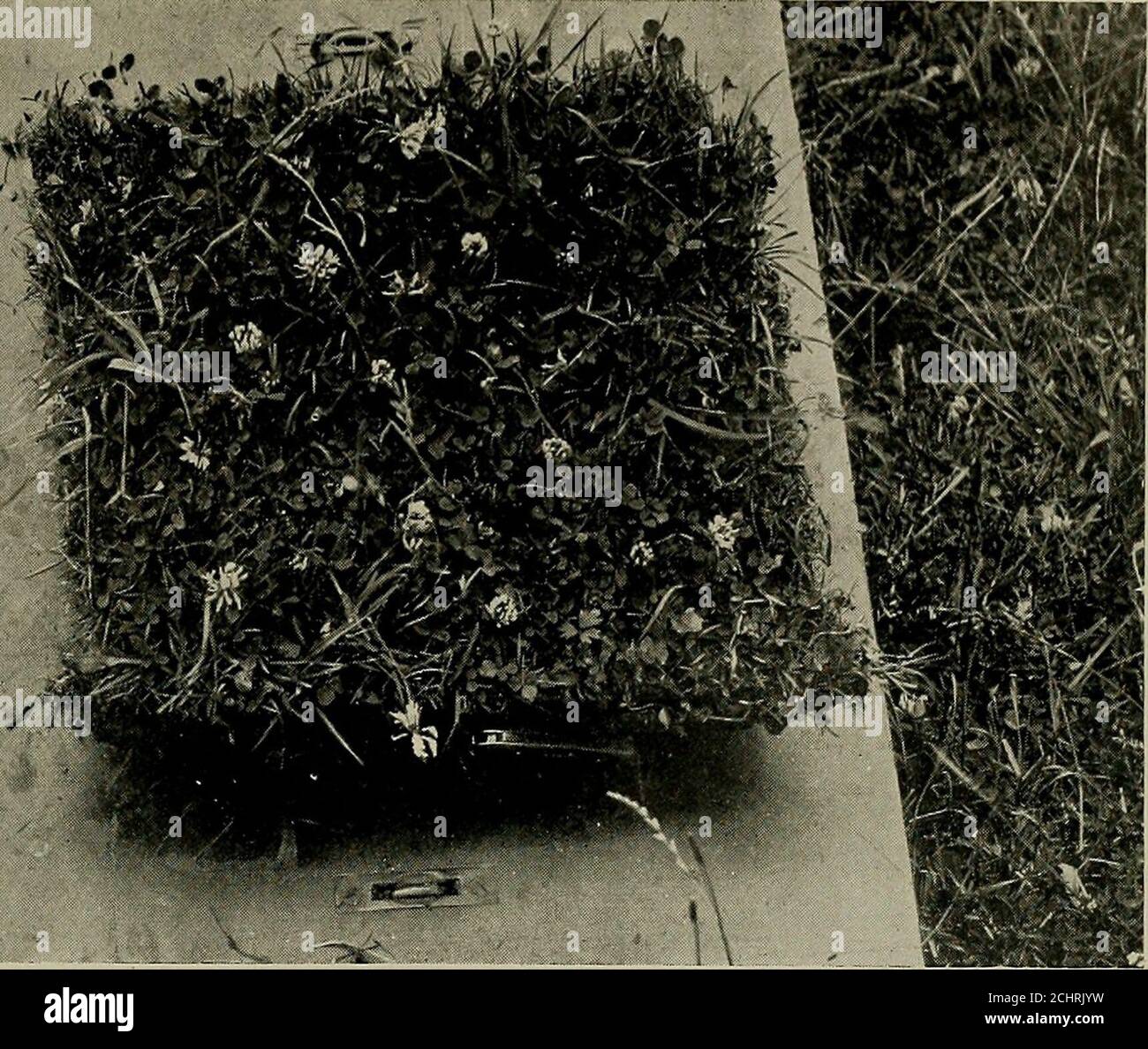 Basic slag hi-res stock photography and images - Alamy