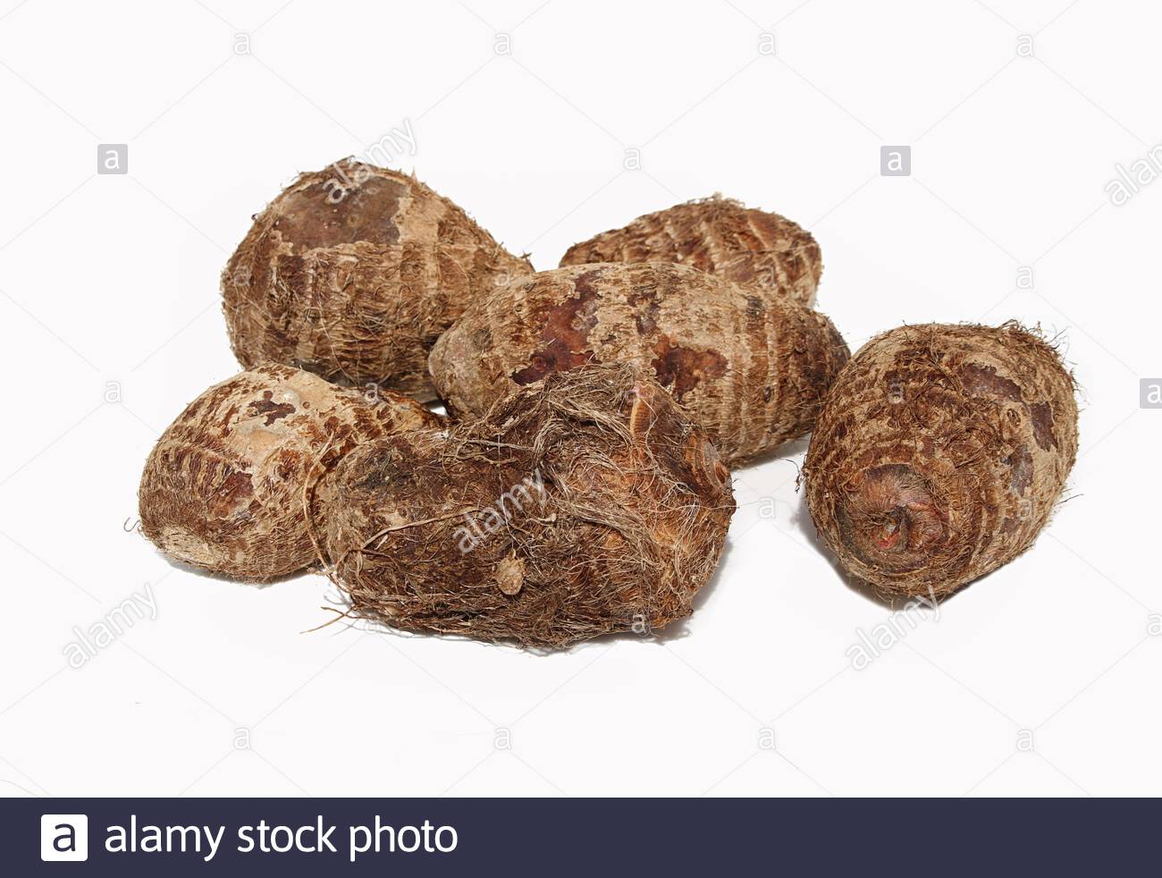 Malanga High Resolution Stock Photography and Images - Alamy