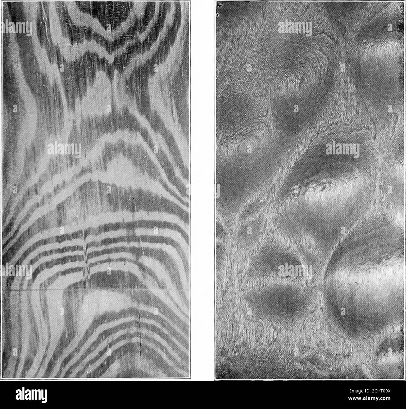 Curly maple Black and White Stock Photos & Images - Alamy