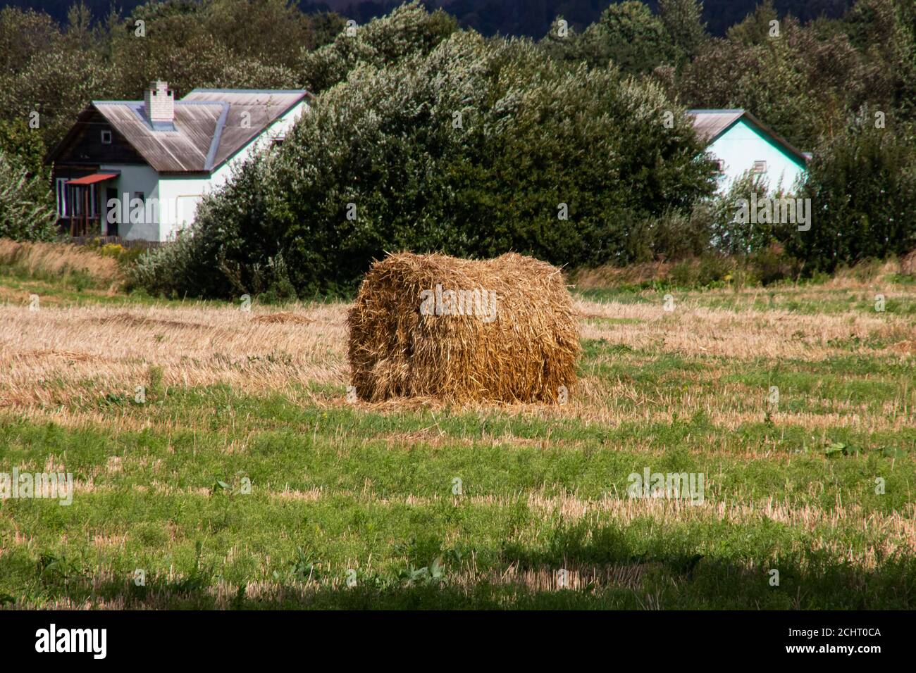 Wheat shock hi-res stock photography and images - Alamy