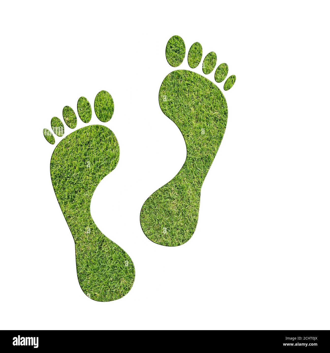 Grass footprints against a white background Stock Photo - Alamy
