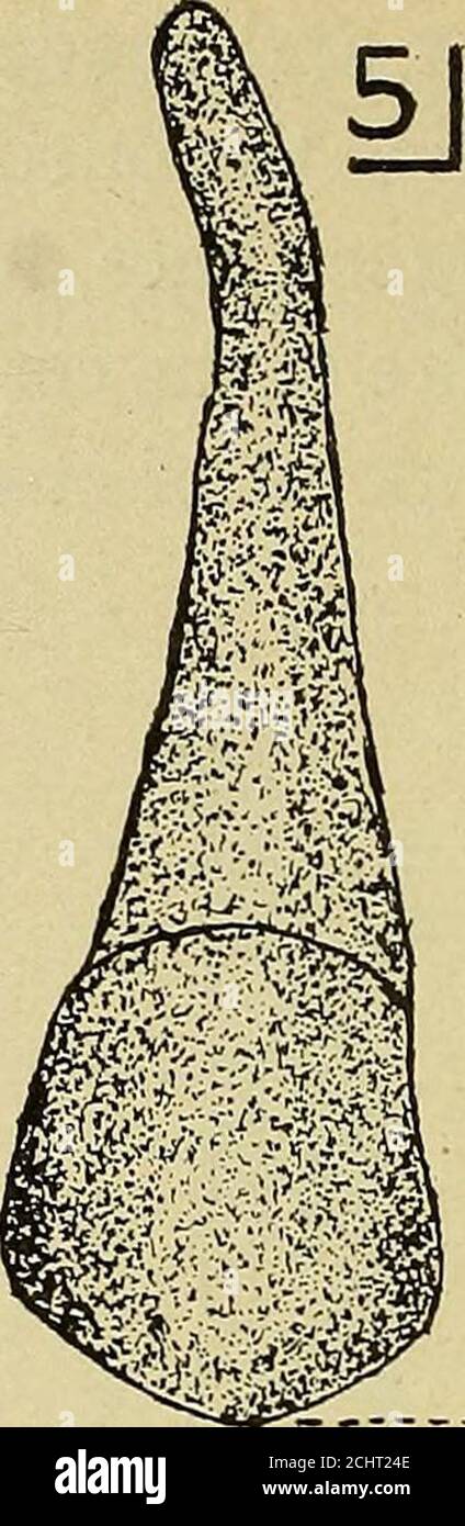 . Operative and dental anatomy technics; a class-room and laboratory ...