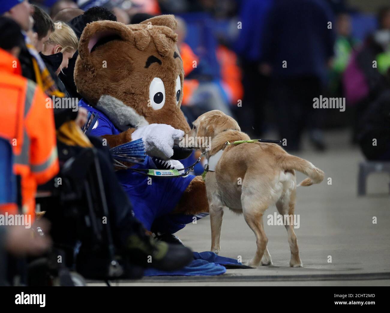 Brighton football club mascot hi-res stock photography and images - Alamy