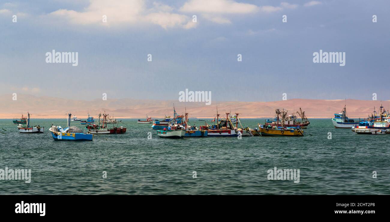 Paracas Bay is well known for its abundant wildlife, its warmer shallow ...