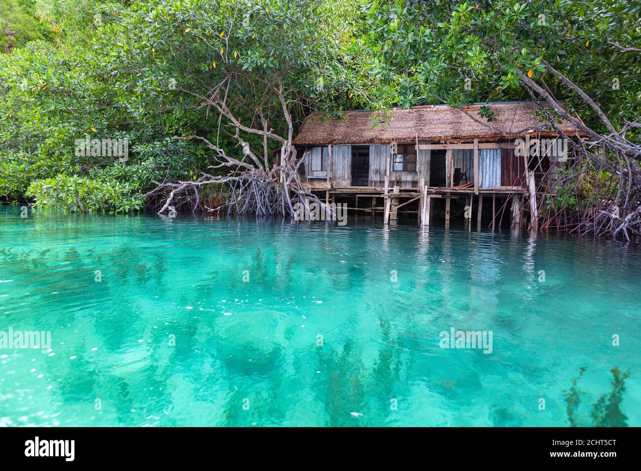 Old wooden house in mangrove forest blue lagoon Stock Photo - Alamy