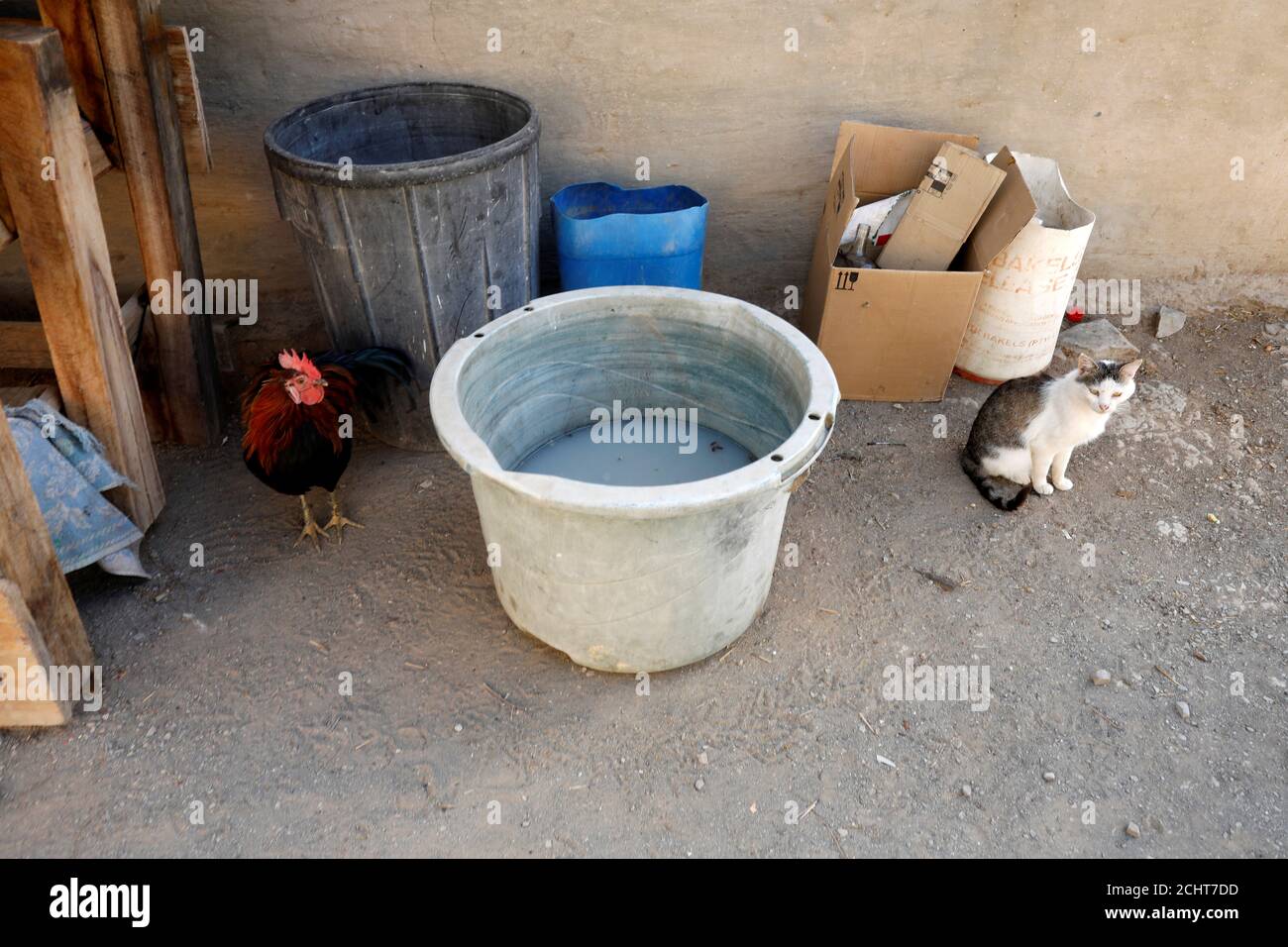 Flush Toilets High Resolution Stock Photography and Images - Alamy