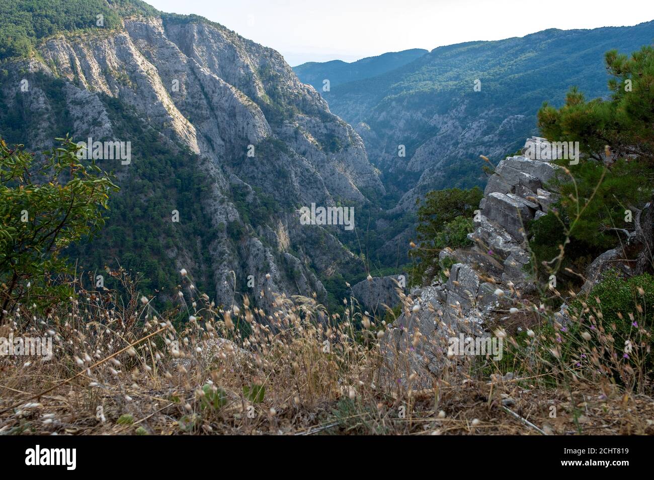 Ida Mountain-Kaz Daglari in Turkey. (in Turkish: Kazdagi, meaning Goose ...