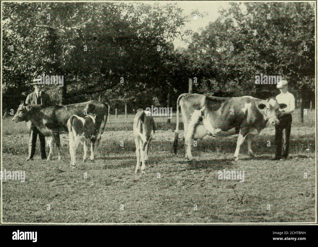. Report . RIGGS WEBB. MT. AIRY HIGH SCHOOL. WHO. IN MAY. 1926. HAD A ...