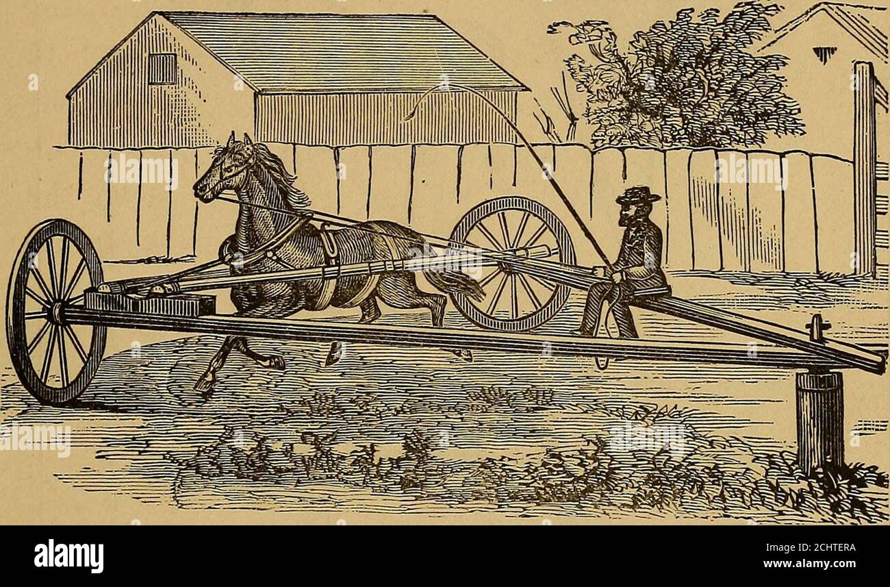 Colt kicking hi-res stock photography and images - Alamy