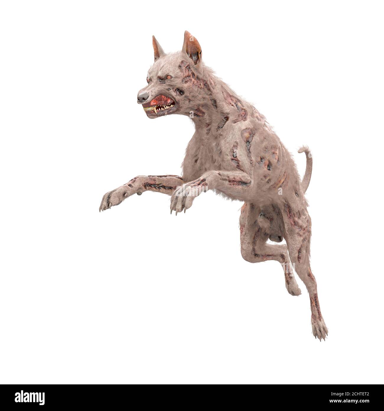 What Do Zombie Dogs Mean In Dreams at Alonzo Caraway blog