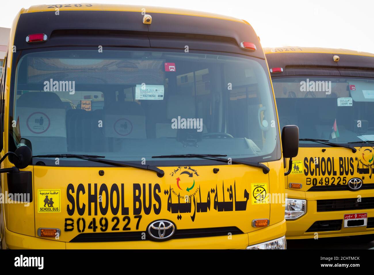 Yellow school bus in Abu Dhabi, United Arab Emirates, Dubai, Emirates ...