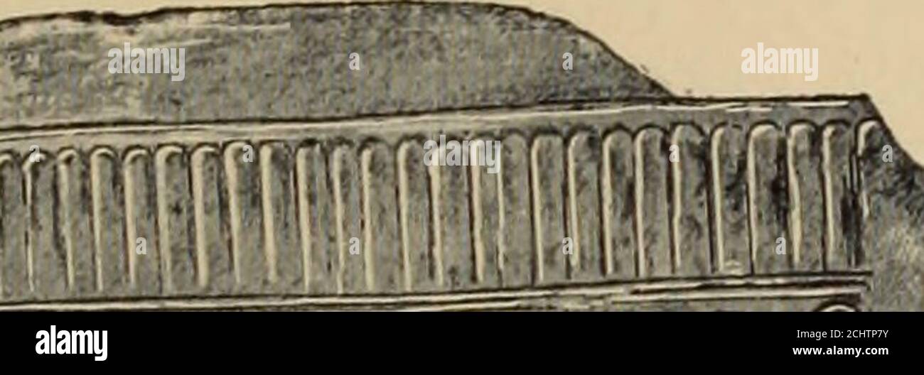 Leyden papyrus hi-res stock photography and images - Alamy