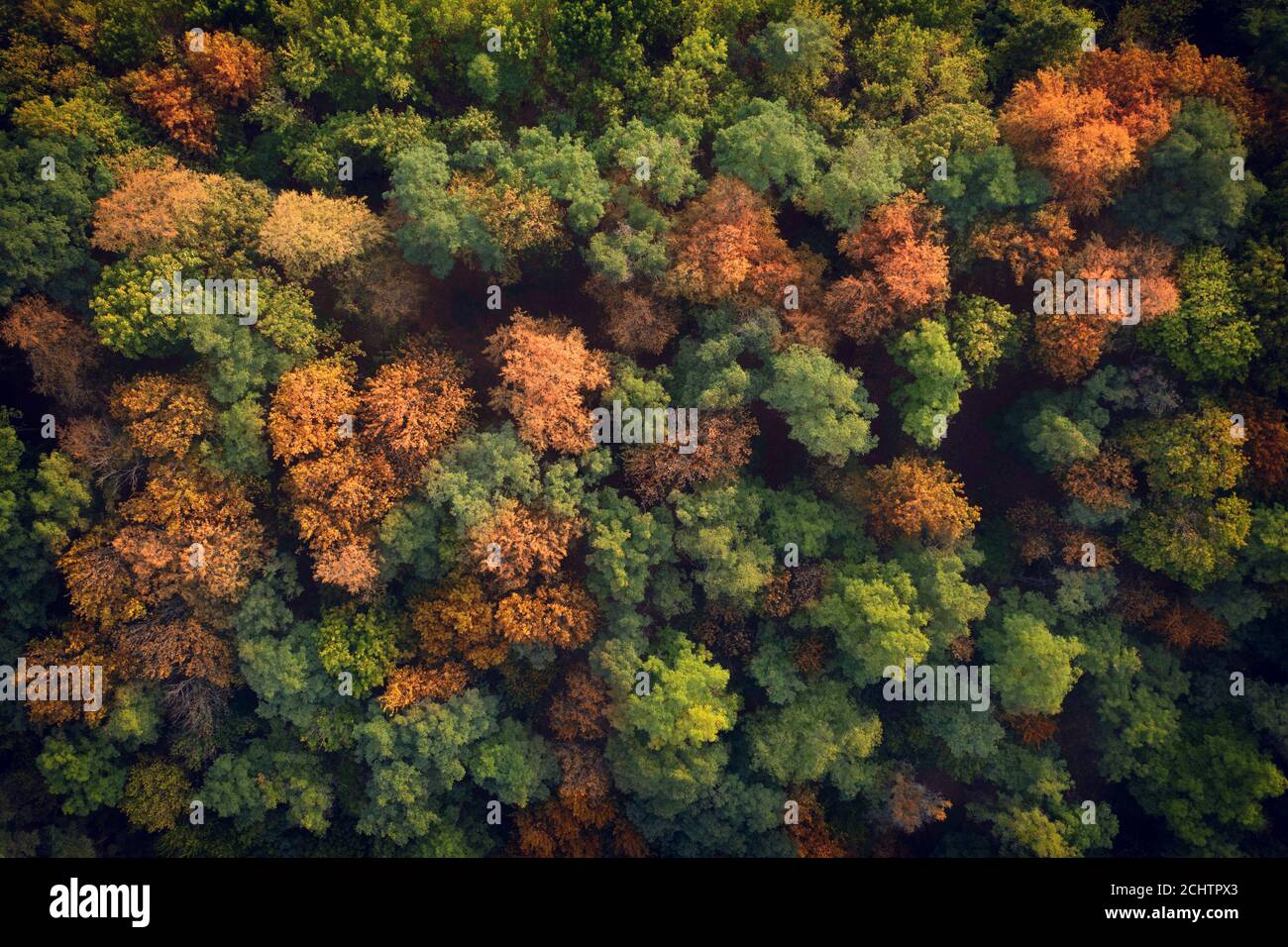 Above High Resolution Stock Photography and Images - Alamy