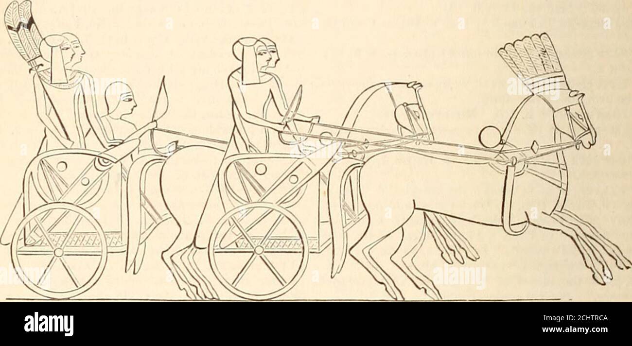 Egyptian Chariot High Resolution Stock Photography and Images - Alamy