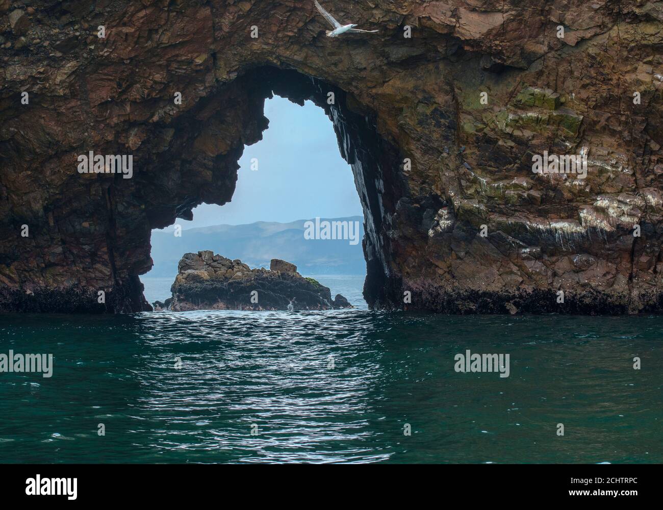 Sea Caves, Arches, and Soaring Cliffs, Paracas, Ballestas Islands ...