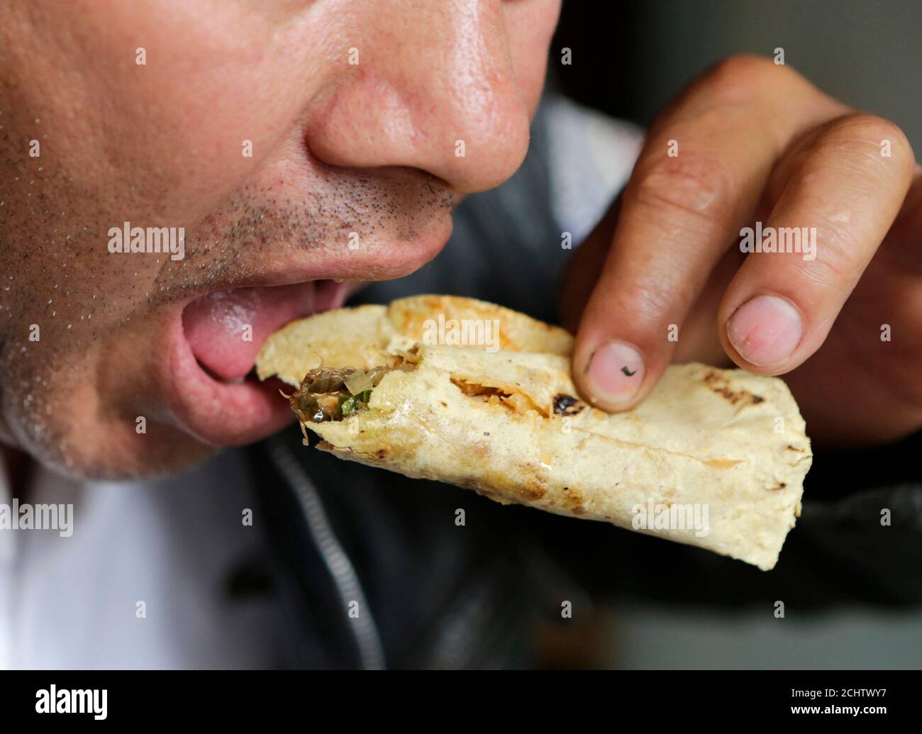 Human centipede hi-res stock photography and images - Alamy