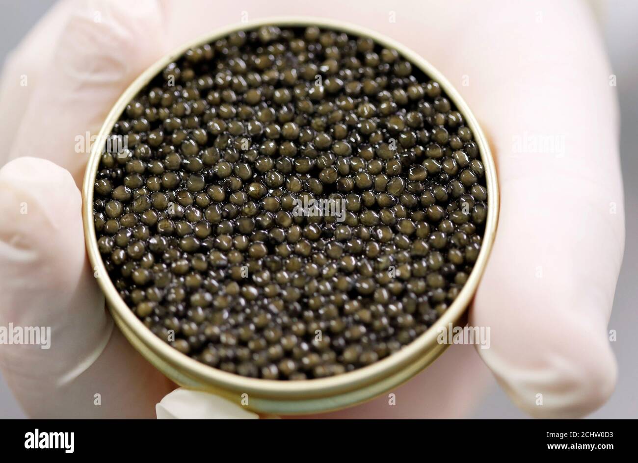 Caviar sturgeon france hi-res stock photography and images - Alamy