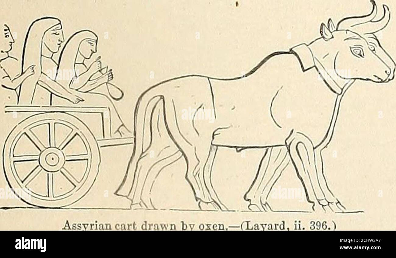 . A comprehensive dictionary of the Bible . Egyptian cart with four ...