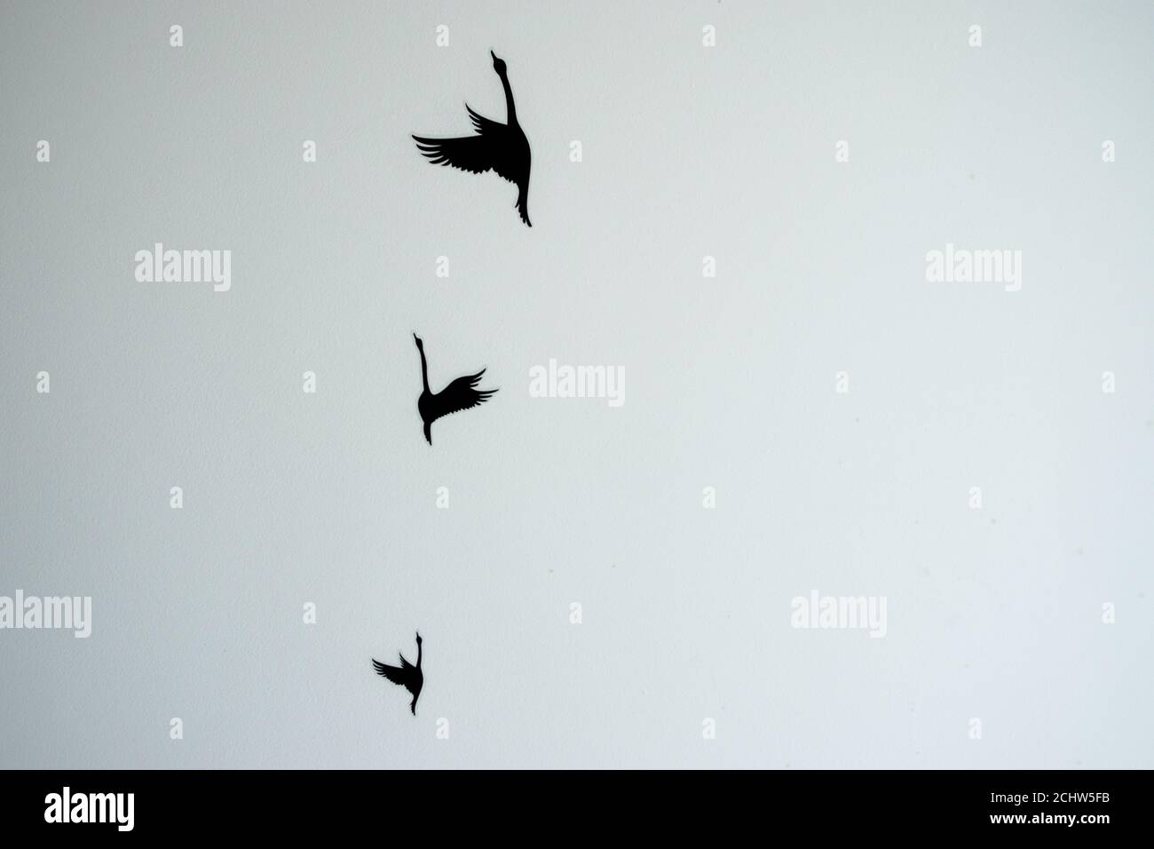 Birds shadows flying on a white wall Stock Photo - Alamy
