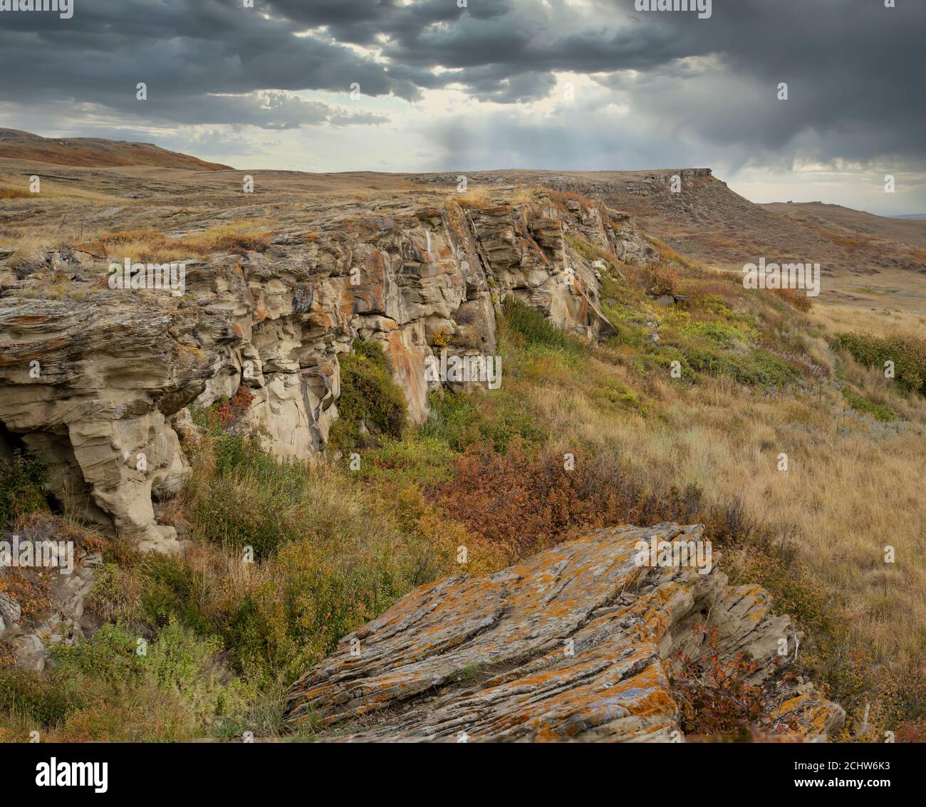 Smashed in head buffalo provincial park hi-res stock photography and ...