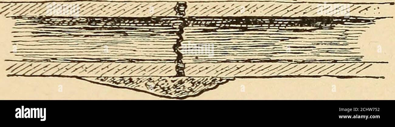 Callus formation hi-res stock photography and images - Alamy