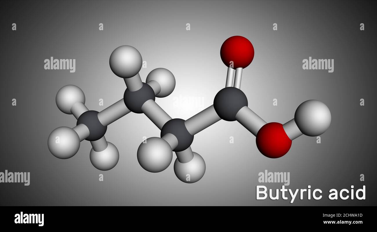 Butyric acid, butanoic acid molecule. Butyrates or butanoates are salts ...