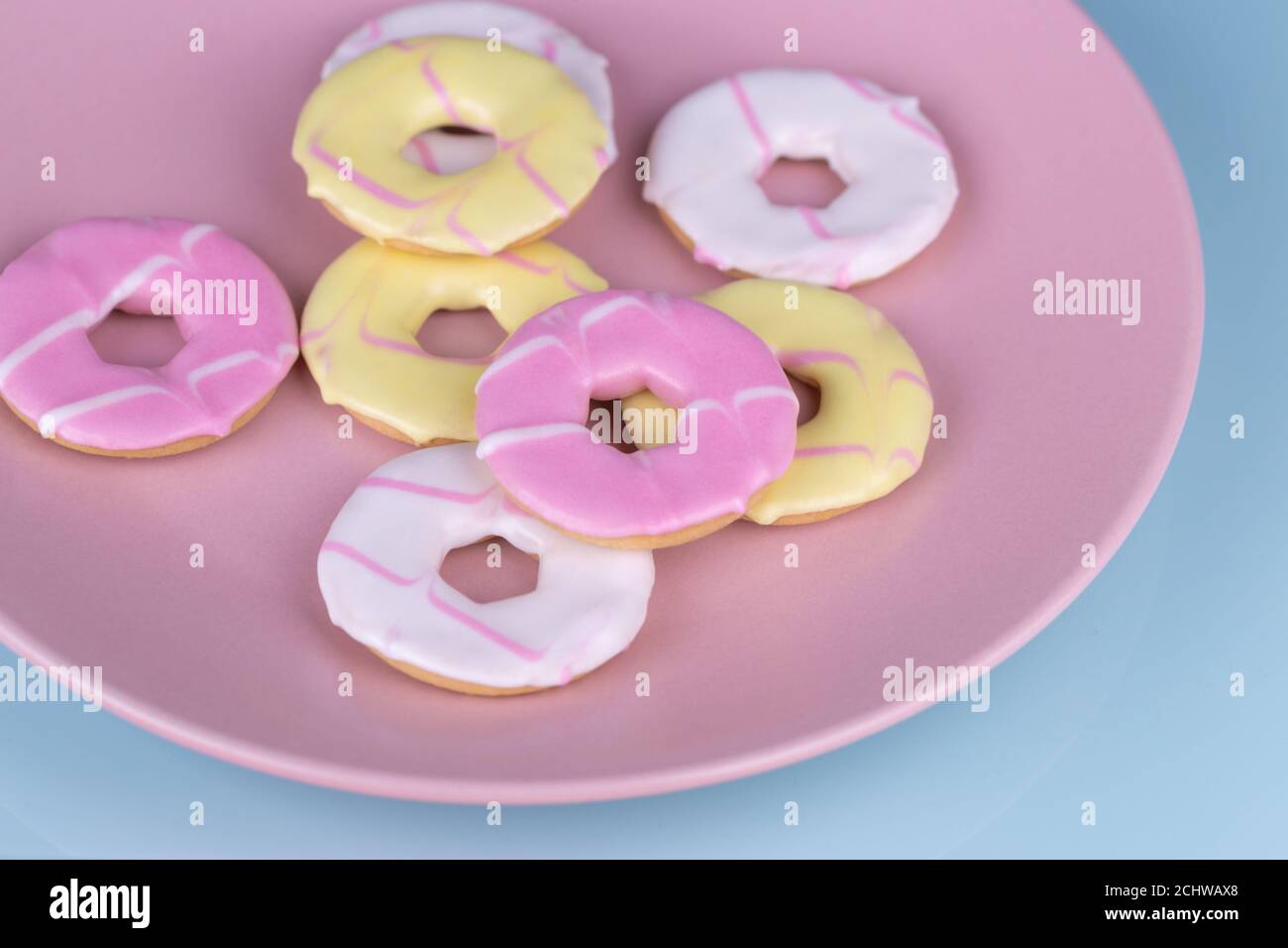 Biscuits on pink plate with blue background hi-res stock photography ...
