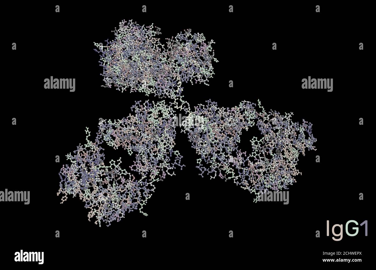 Monoclonal antibody hi-res stock photography and images - Alamy