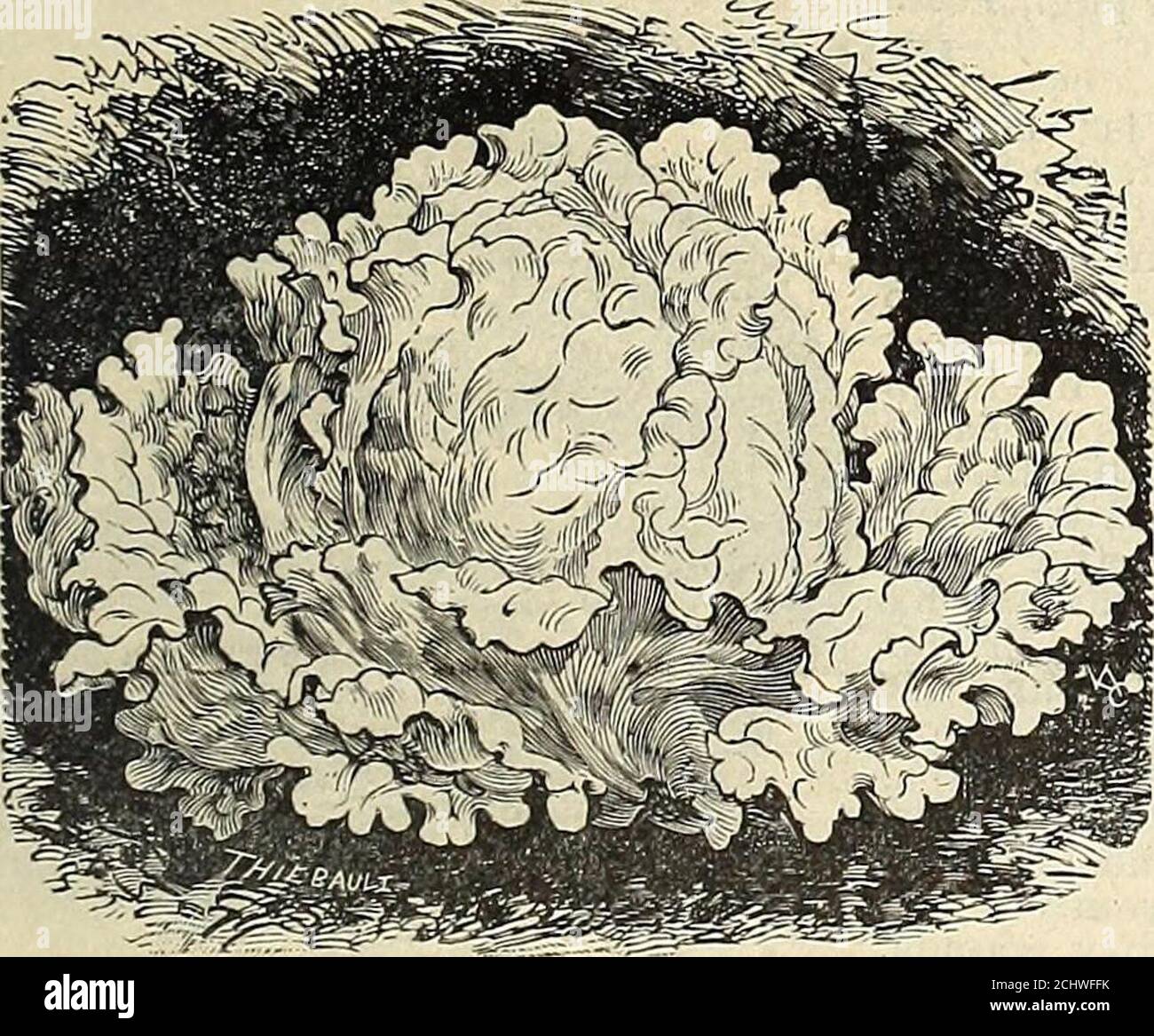 Gregory kingsley hi-res stock photography and images - Alamy