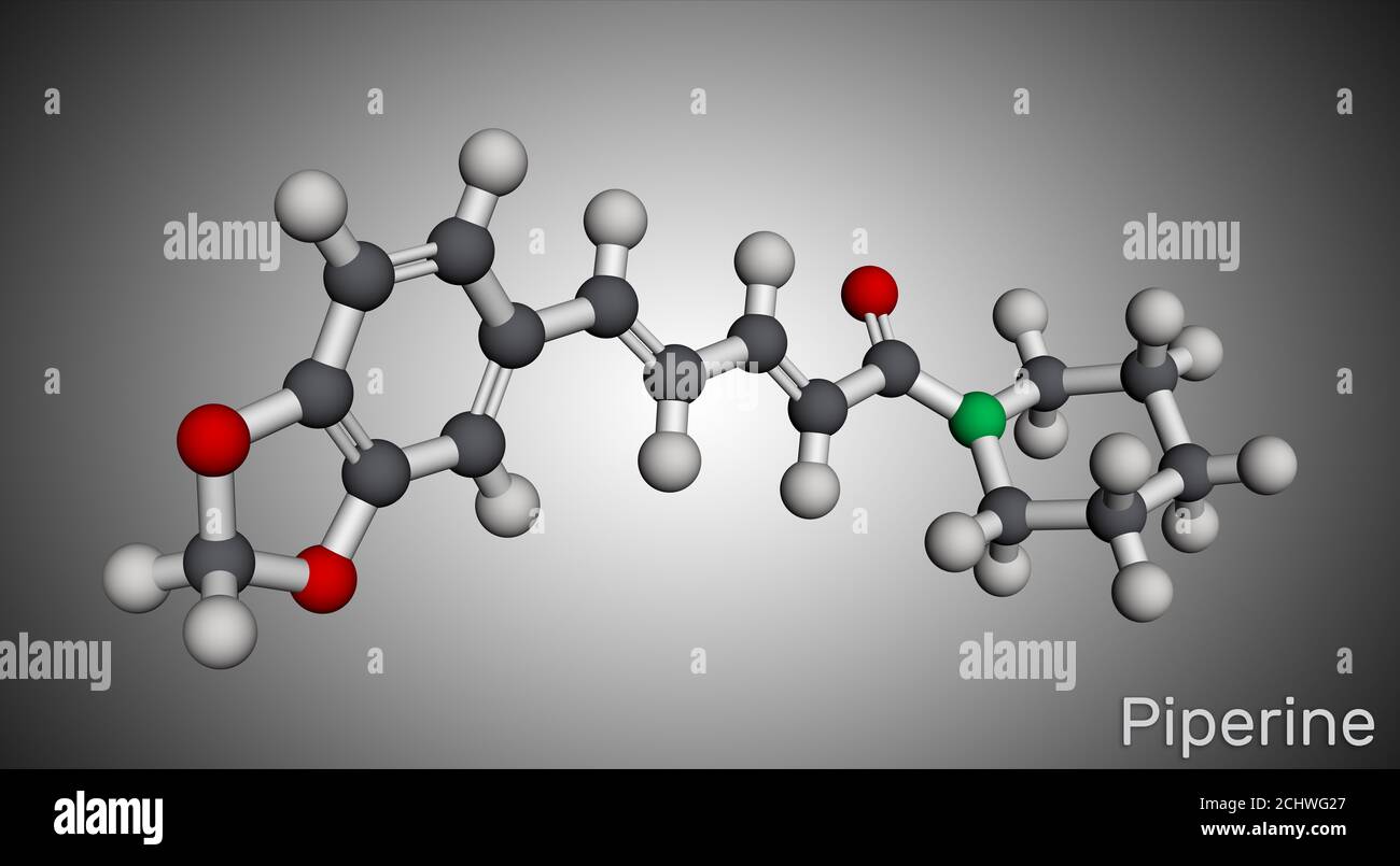 Piper nigrum illustration hi-res stock photography and images - Alamy