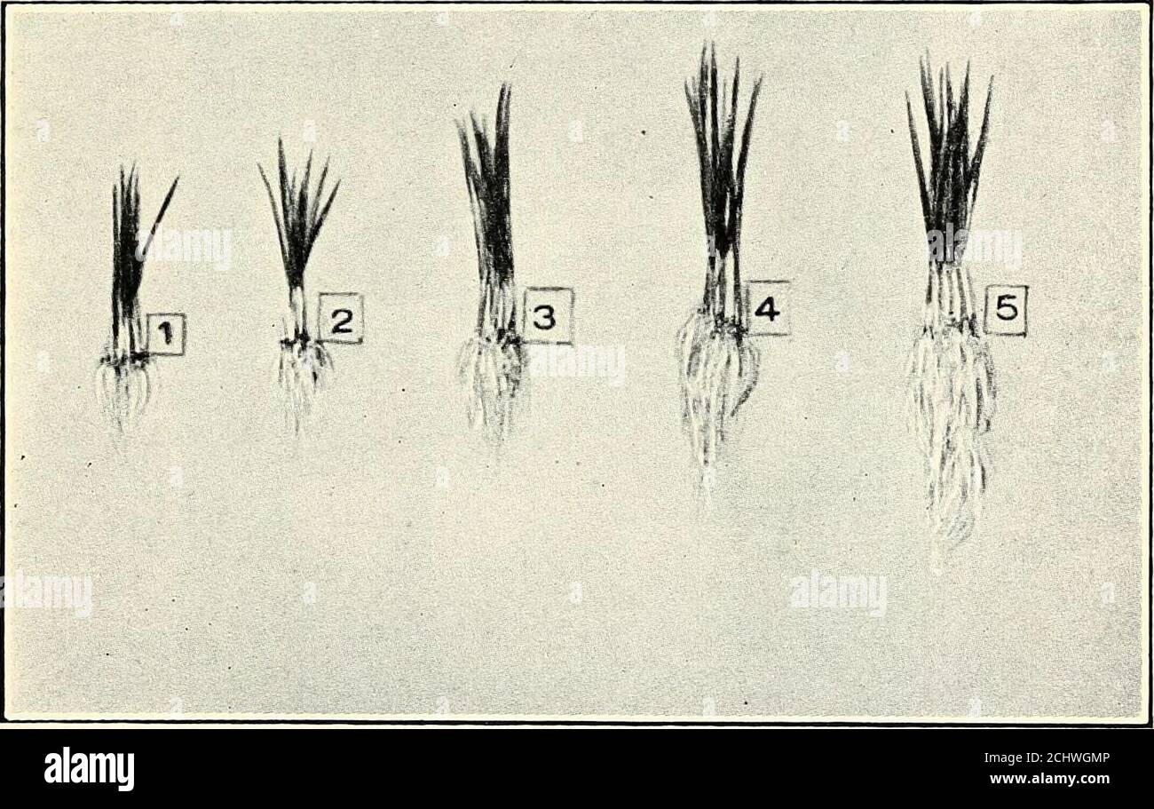 . Principles of agricultural chemistry [microform] . tof poor soils ...