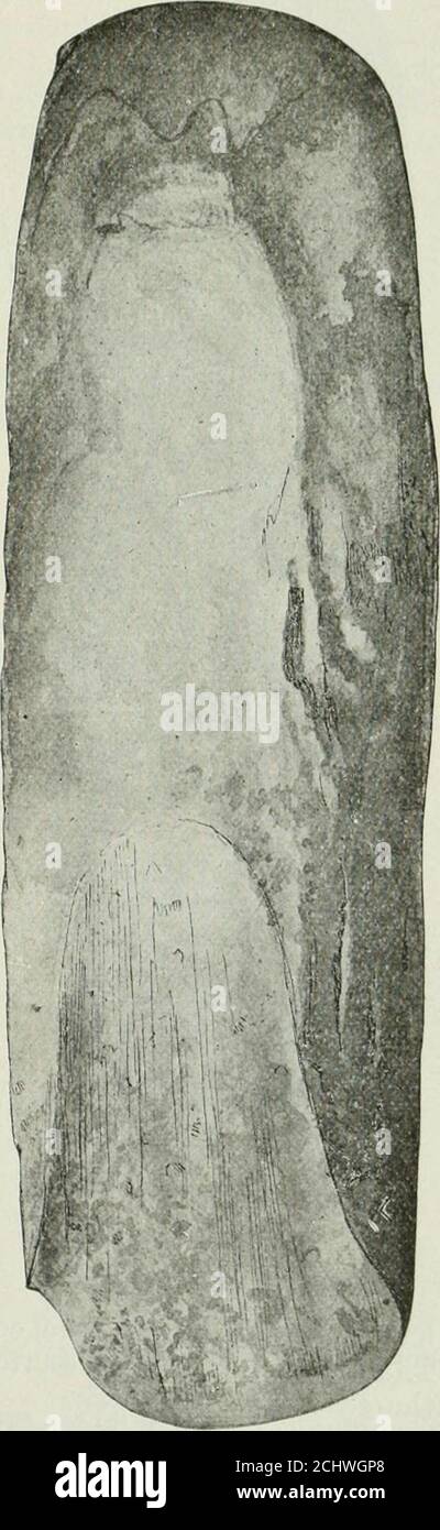 Chamfering stone hi-res stock photography and images - Alamy