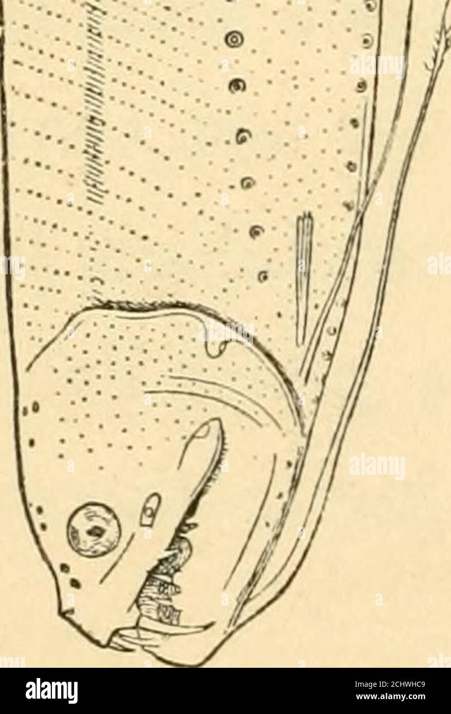 Fifty fathoms hi-res stock photography and images - Alamy