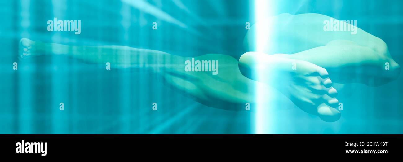 3d illustration of a model of human body parts Stock Photo - Alamy