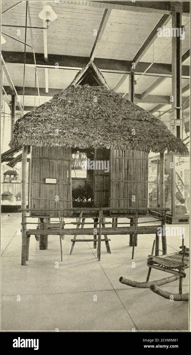 Tree House Of Bagobo Tribe