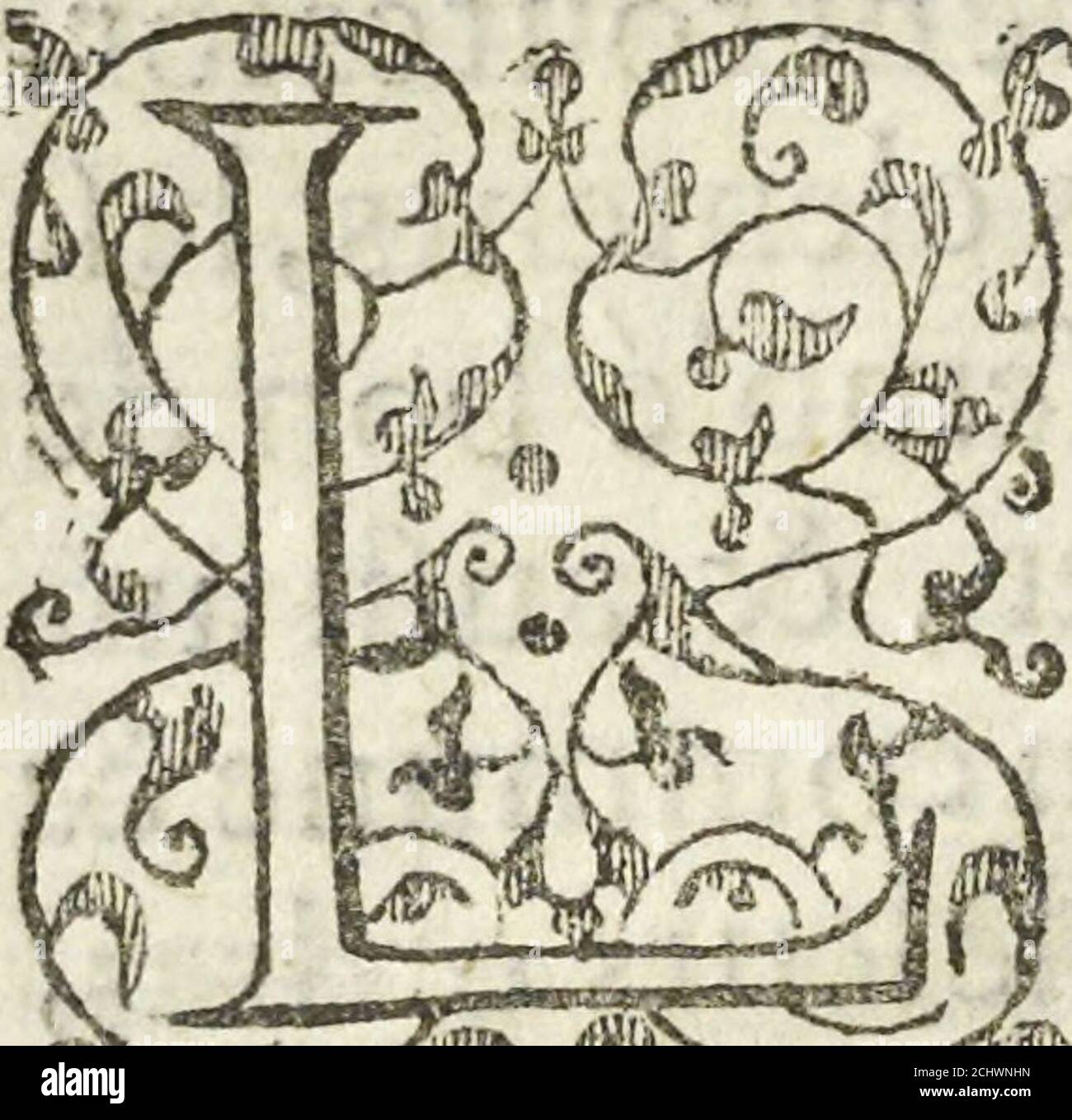 Lair fec hi-res stock photography and images - Alamy