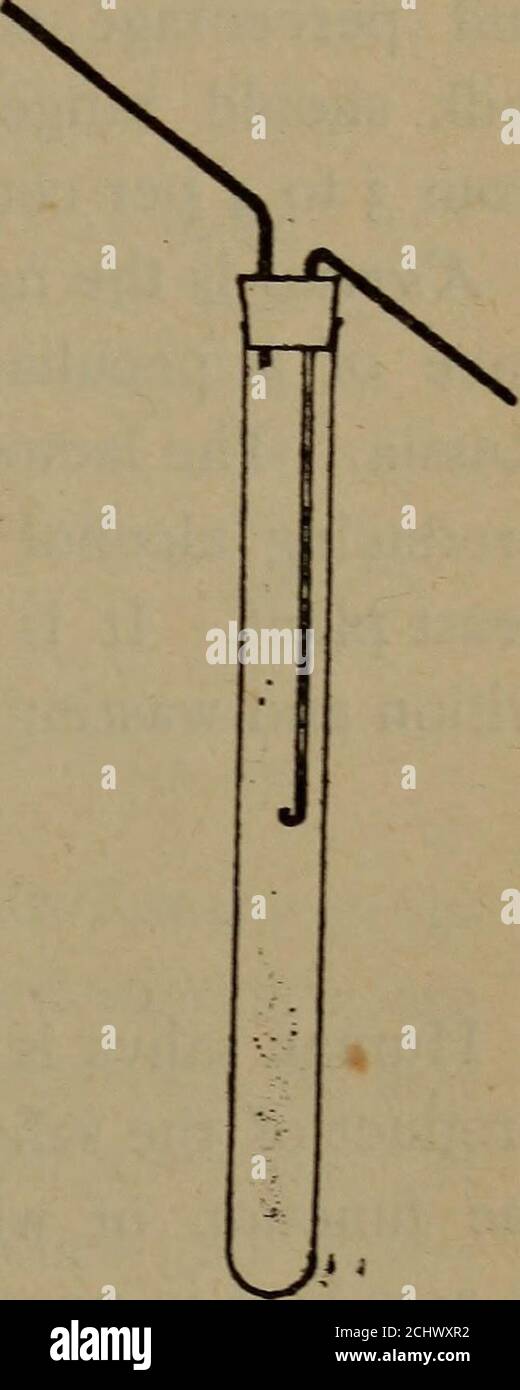 . Essentials of medical and clinical chemistry. With laboratory ...