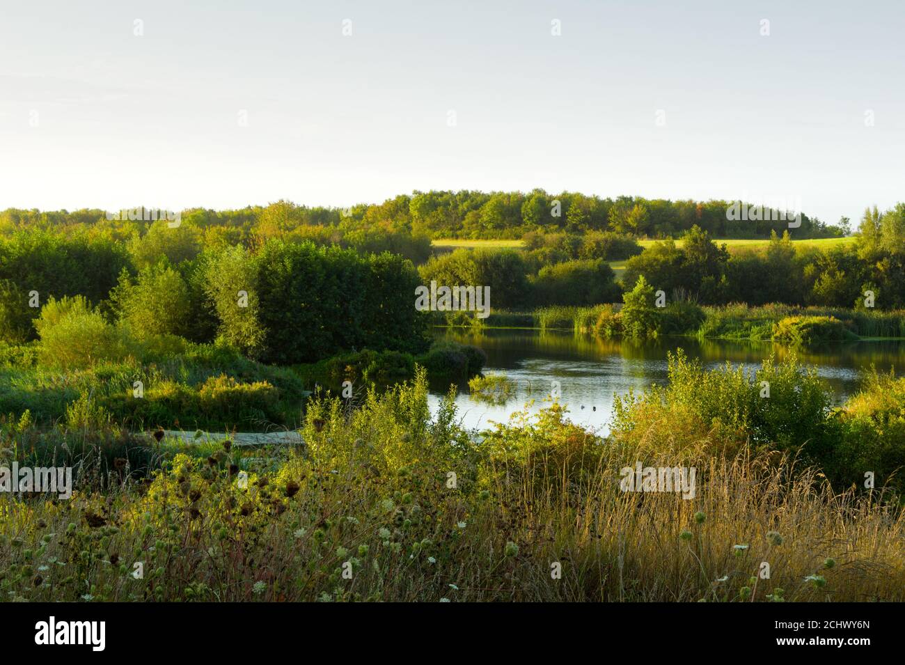 Dorney nature reserve uk hi-res stock photography and images - Alamy