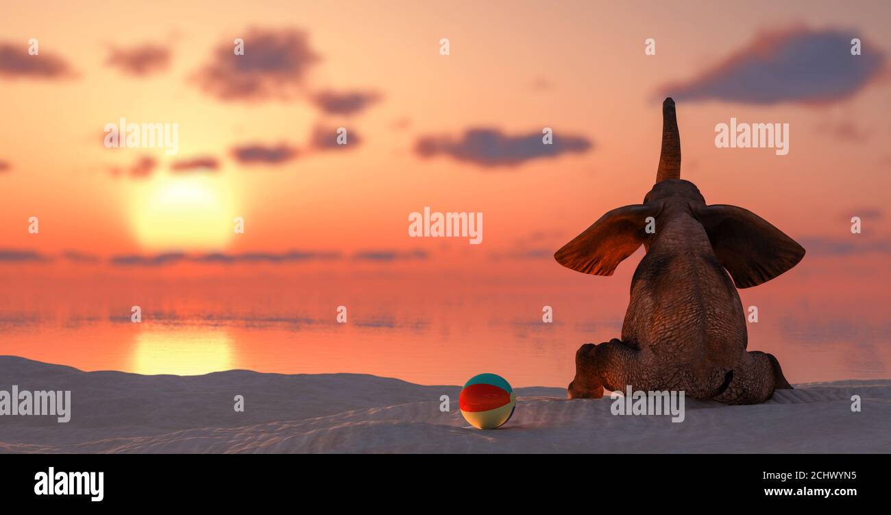 3d illustration of an elephant sitting on the beach watching or the ...