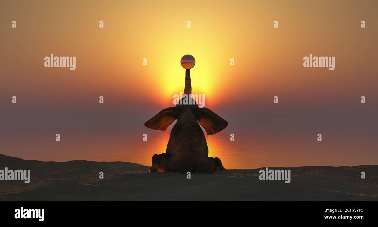 3d illustration of an elephant sitting on the beach watching or the ...