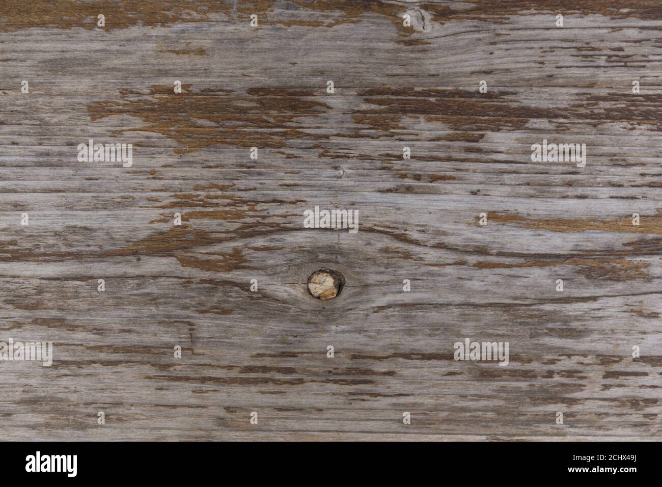 Closeup shot of a piece of wood Stock Photo - Alamy