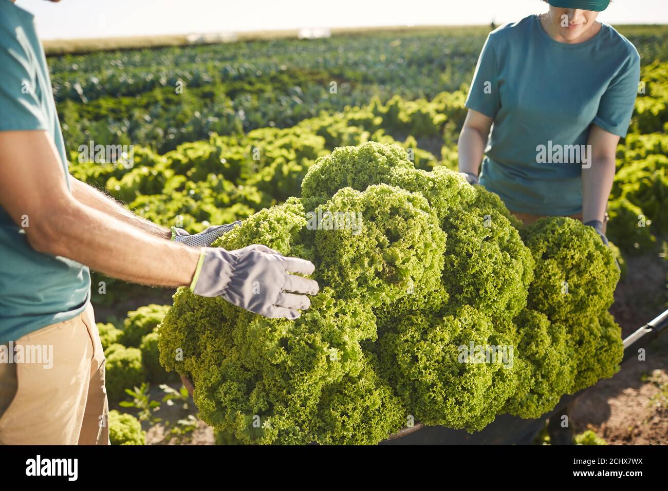 Two men loading hi-res stock photography and images - Alamy