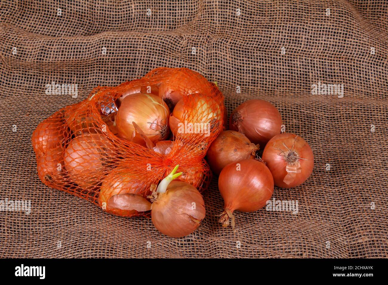 Onions harvest in net hi-res stock photography and images - Alamy