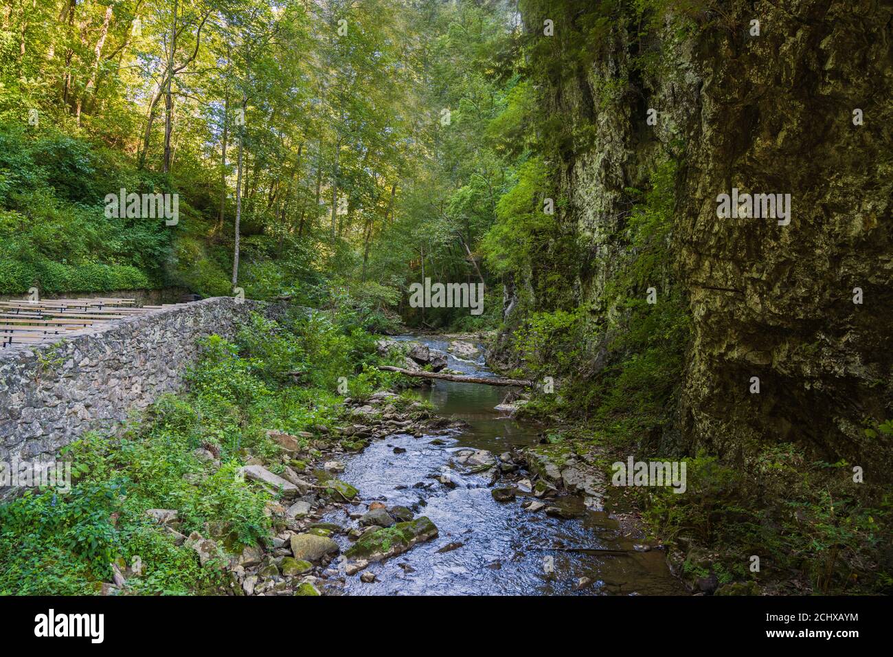 A wide angle landscape photo of a brook between a mountain side and a ...