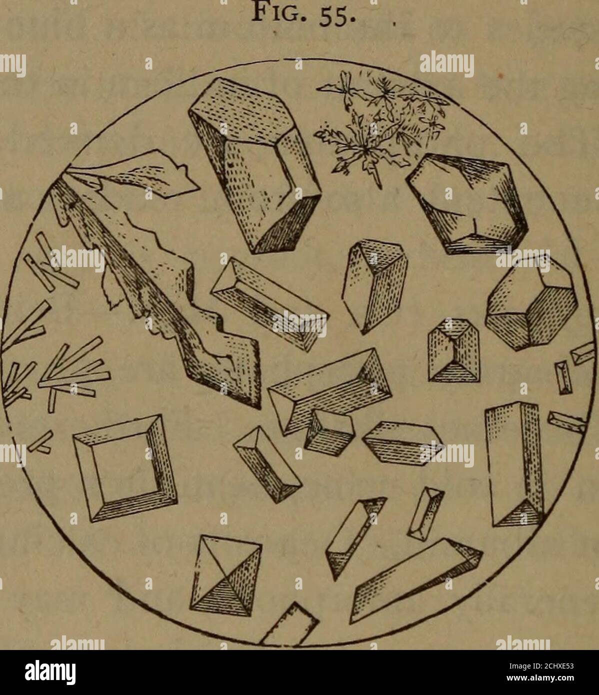 Magnesium Phosphate Crystals