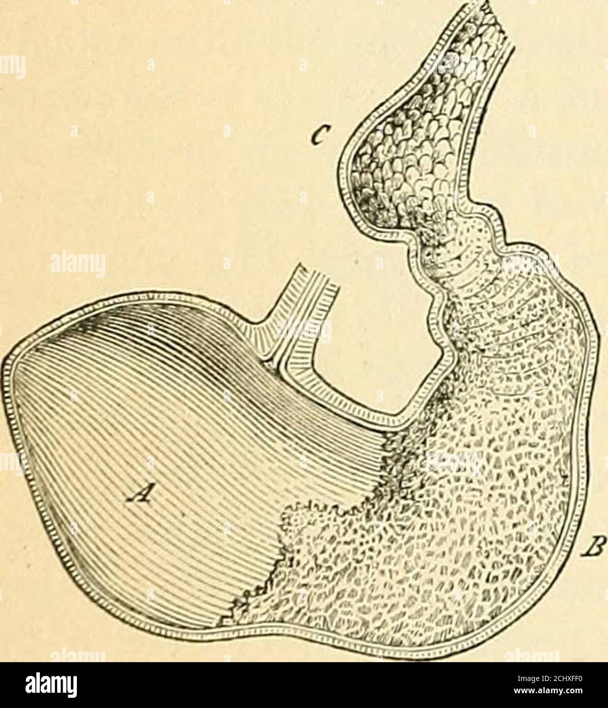Hog compound hi-res stock photography and images - Alamy